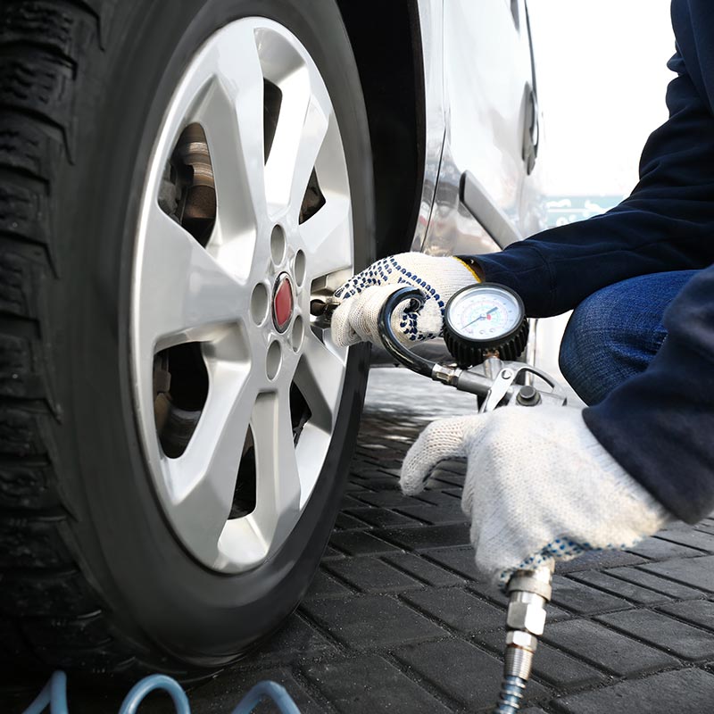 Auto Care – DataBeagle